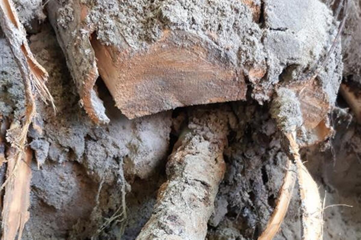 Kabel en Leiding Overleg - Kabel en Leiding Overleg